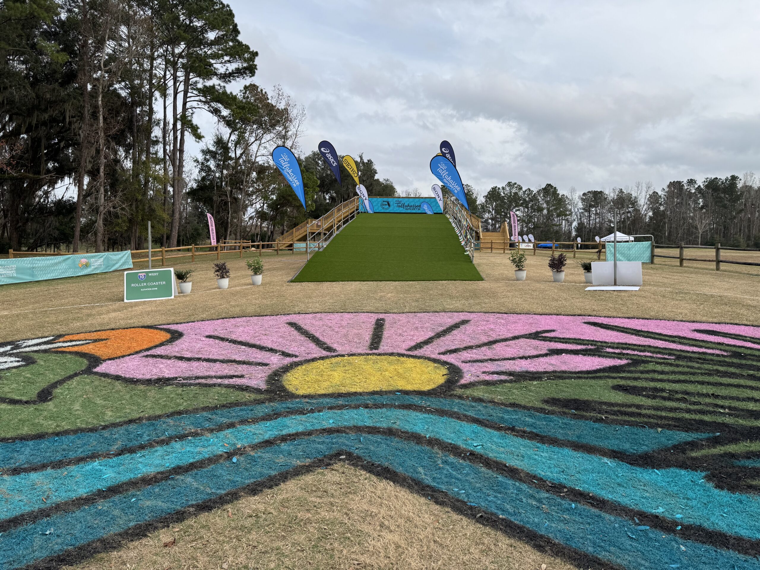 Sand, mud, & gators: your guide to the 2026 World Cross Country course ...